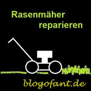 Rasenmher Qualmt Weiss Zu Viel L