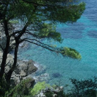 The Skiathos Bus System: A Comprehensive Guide