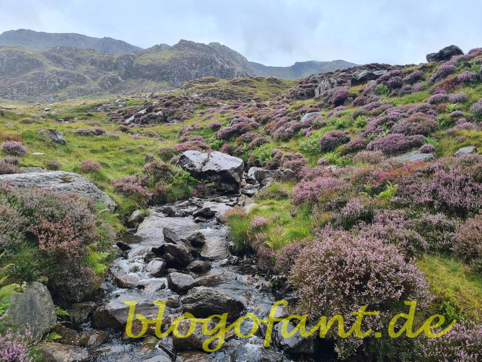 Snowdonia und das Ogwen Valley - Blogofant - Elefantisch gut!